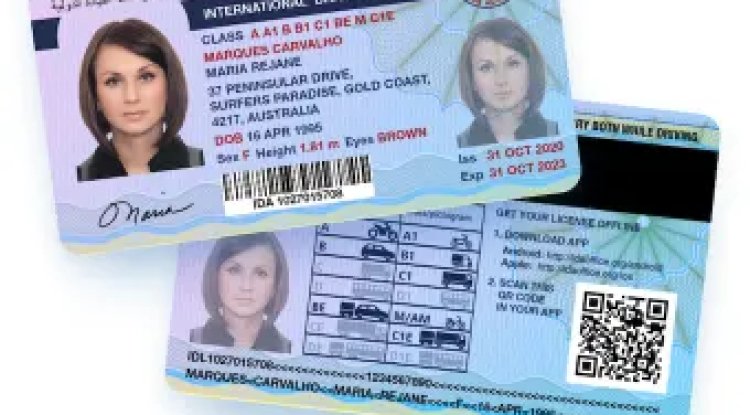 How to Obtain an International Driver's License: Your Guide to Driving ...