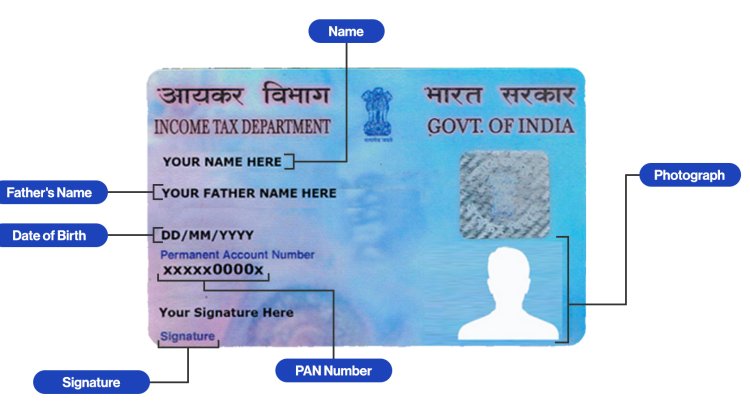 How to Check Your PAN Card Details – A Step-by-Step Guide - PAN Card ...